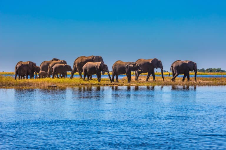 15 Best Places to Visit in Botswana - The Crazy Tourist