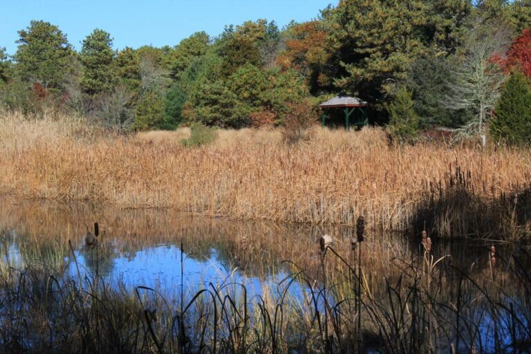 15 Best Things to Do in Bourne (MA) - The Crazy Tourist