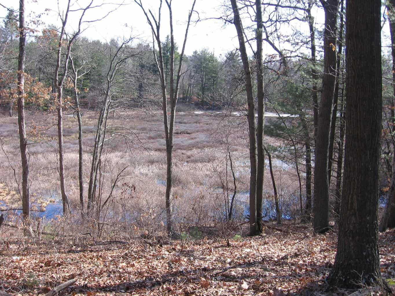 15 Best Things to Do in Wilbraham (MA) - The Crazy Tourist