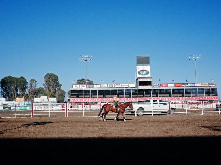 15 Best Things to Do in Salinas (CA) - The Crazy Tourist