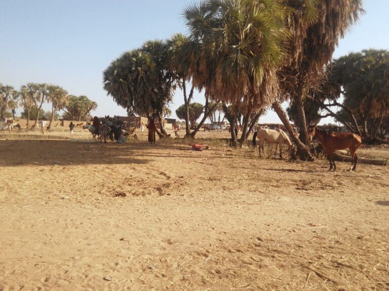 14 Best Places to Visit in Chad - The Crazy Tourist