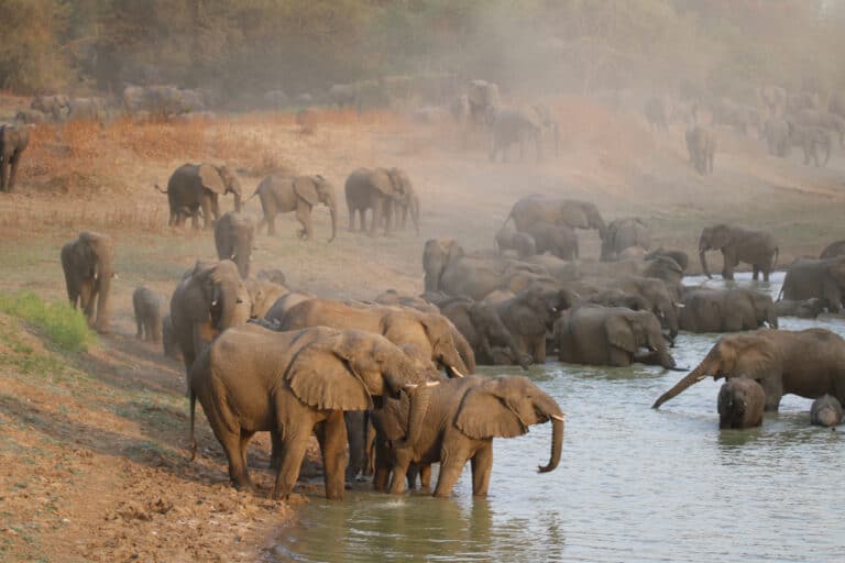 14 Best Places to Visit in Chad - The Crazy Tourist