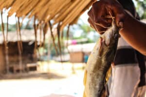 15 Best Places to Visit in Central African Republic - The Crazy Tourist