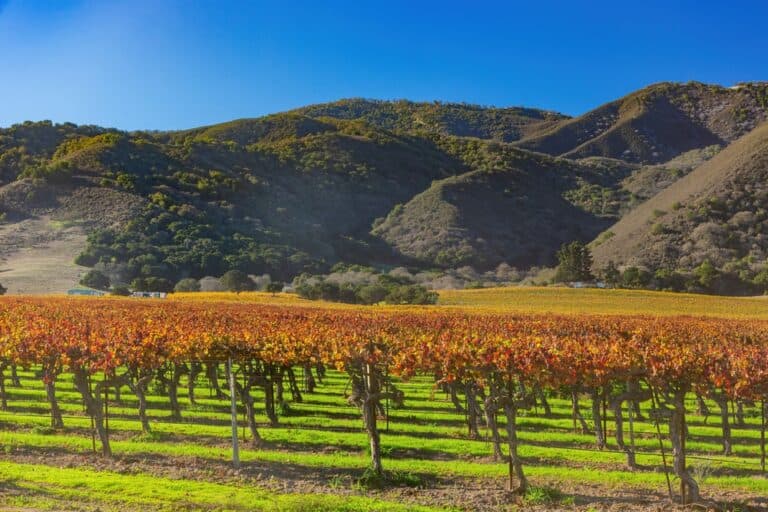 15 Best Things to Do in Salinas (CA) - The Crazy Tourist