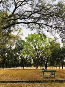 14 Best Places to Visit in Chad - The Crazy Tourist