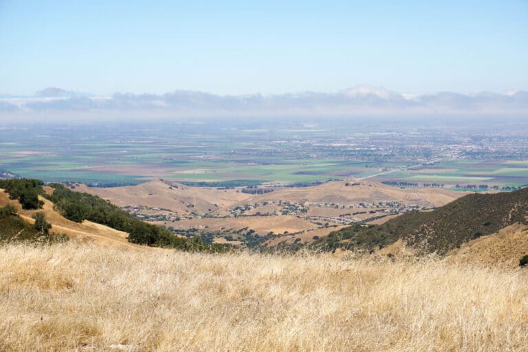 15 Best Things to Do in Salinas (CA) - The Crazy Tourist