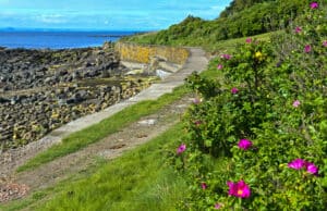 25 Best Things to Do in Fife (Scotland) - The Crazy Tourist
