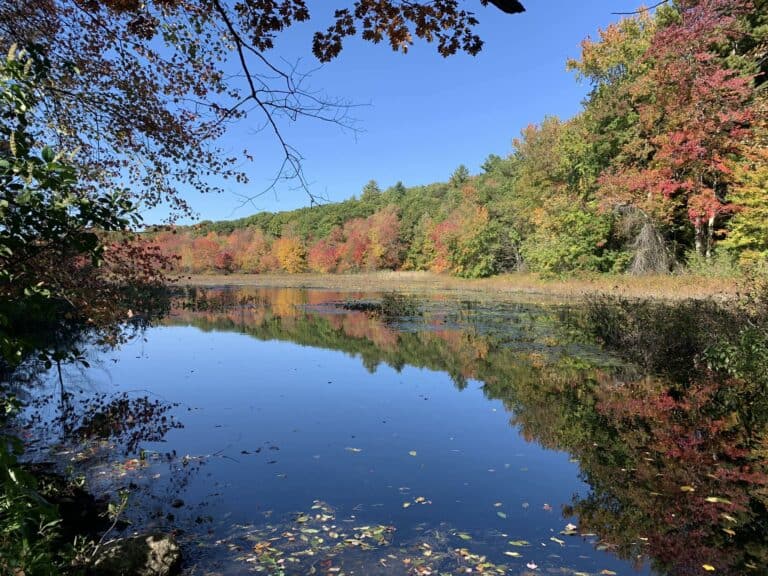 15 Best Things to Do in Wrentham (MA) - The Crazy Tourist