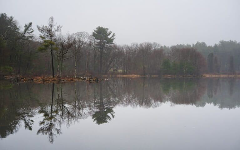 15 Best Things to Do in Weston (MA) - The Crazy Tourist