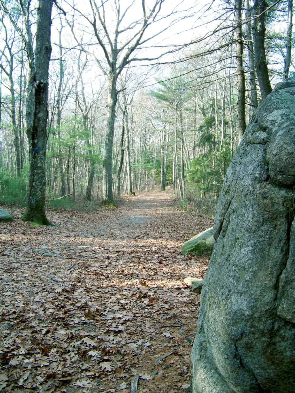 15 Best Things to Do in Wrentham (MA) - The Crazy Tourist