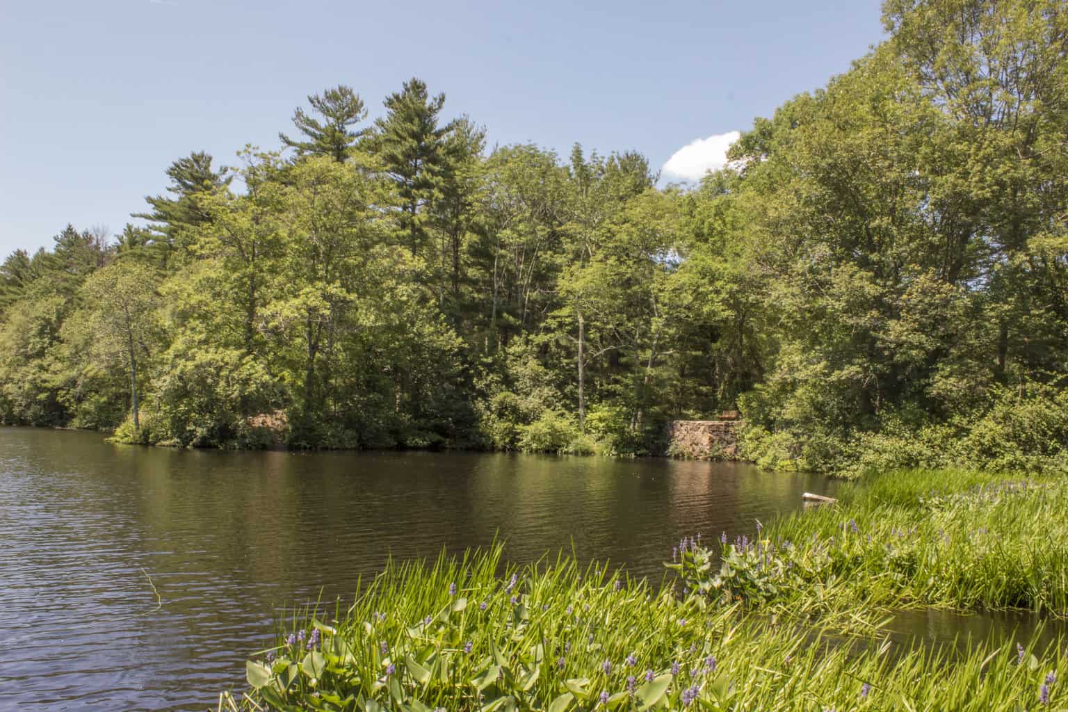 15 Best Things to Do in Hanover (MA) - The Crazy Tourist