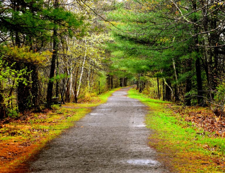 15 Best Things to Do in Weston (MA) - The Crazy Tourist