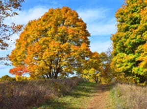 15 Best Things to Do in Raynham (MA) - The Crazy Tourist