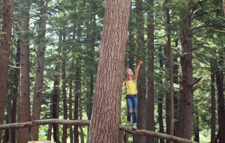 15 Best Things to Do in Rehoboth (MA) - The Crazy Tourist