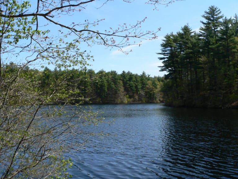 15 Best Things to Do in Foxborough (MA) - The Crazy Tourist