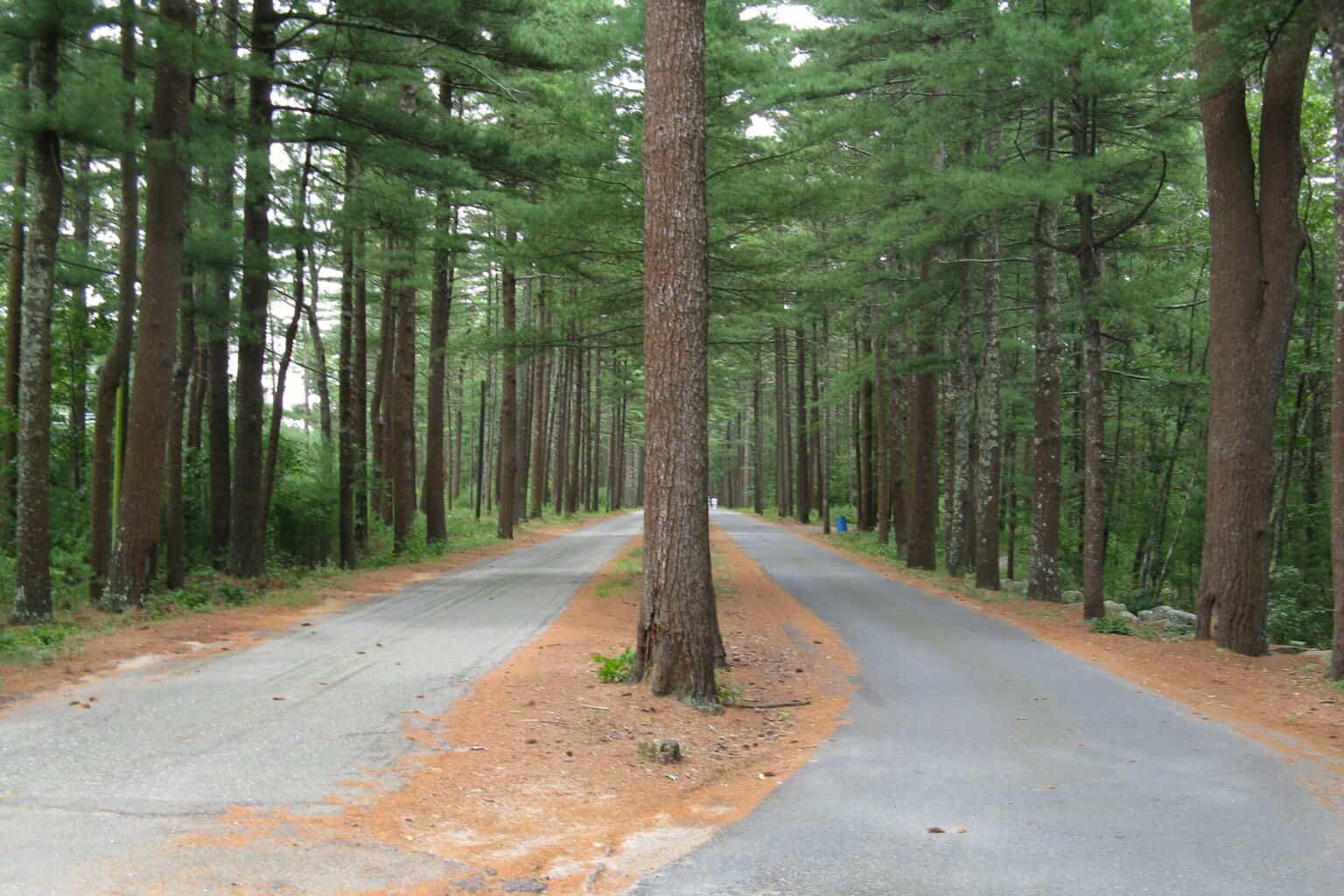 15 Best Things to Do in Carver (MA) - The Crazy Tourist