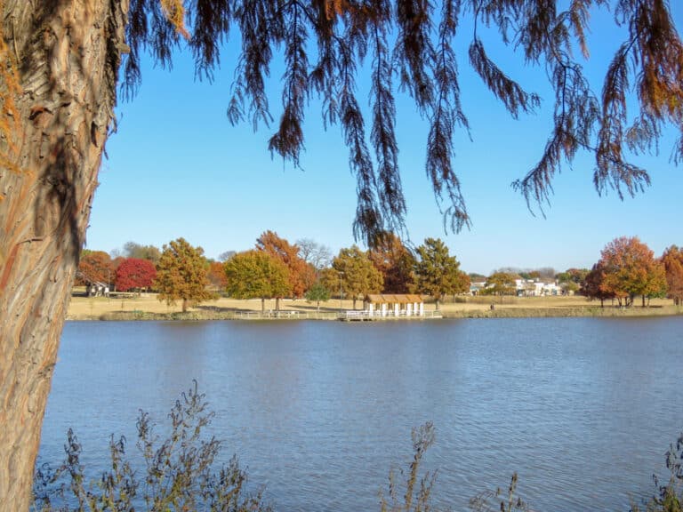 15 Best Things to Do in Plano (TX) - The Crazy Tourist