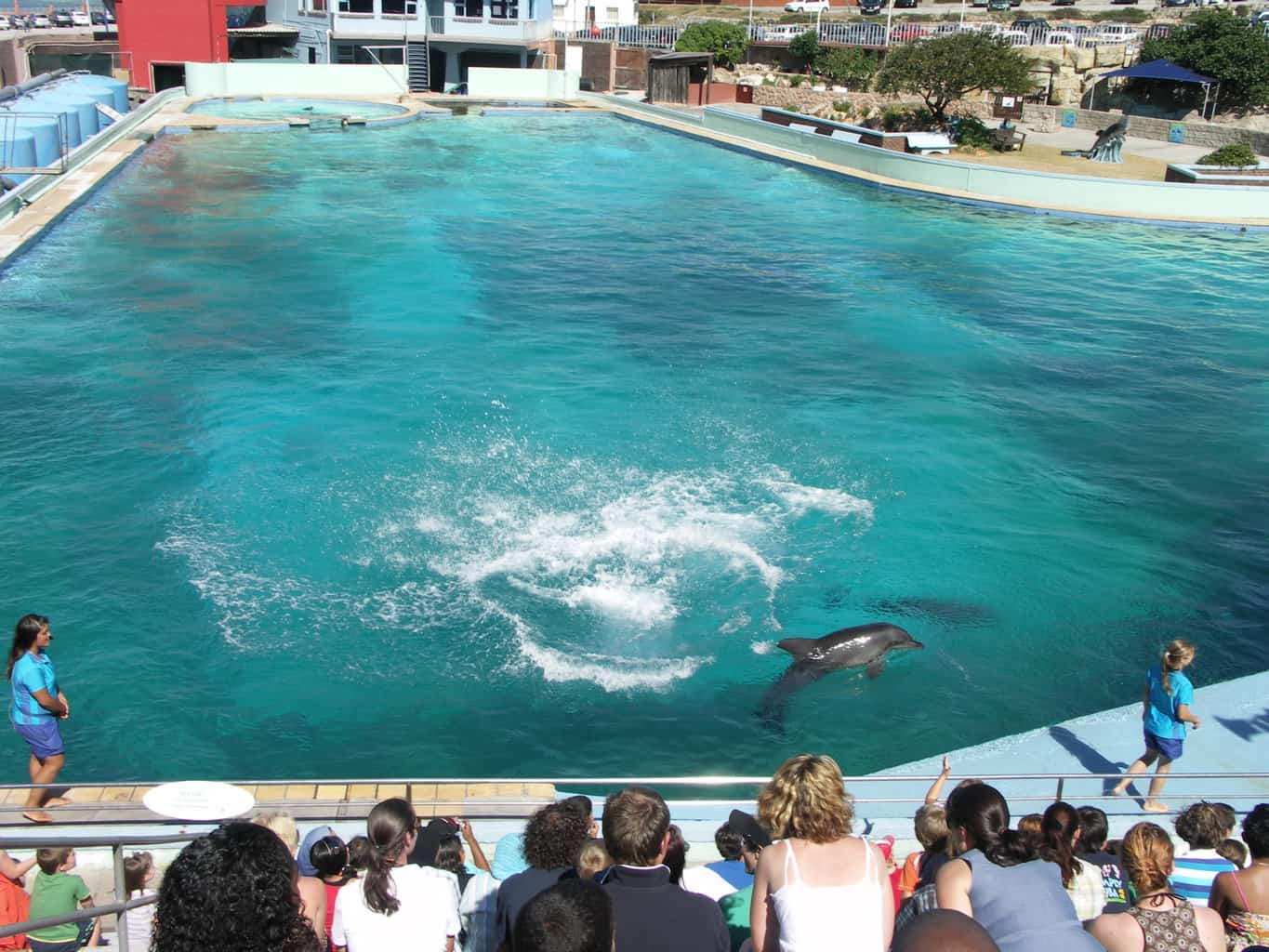 15 Best things to do in Port Elizabeth - The Crazy Tourist