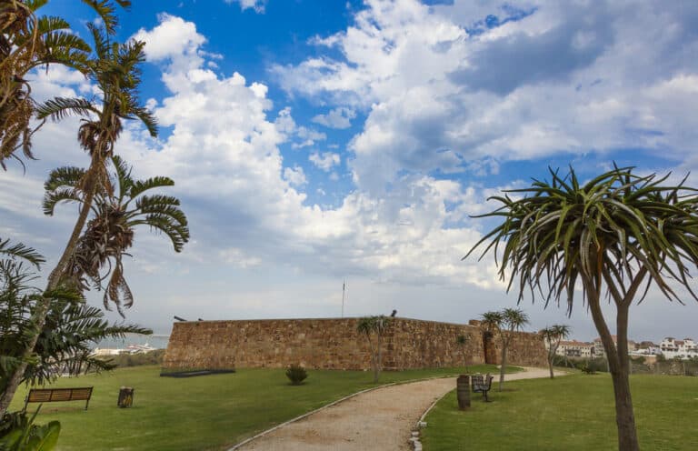 15 Best things to do in Port Elizabeth - The Crazy Tourist