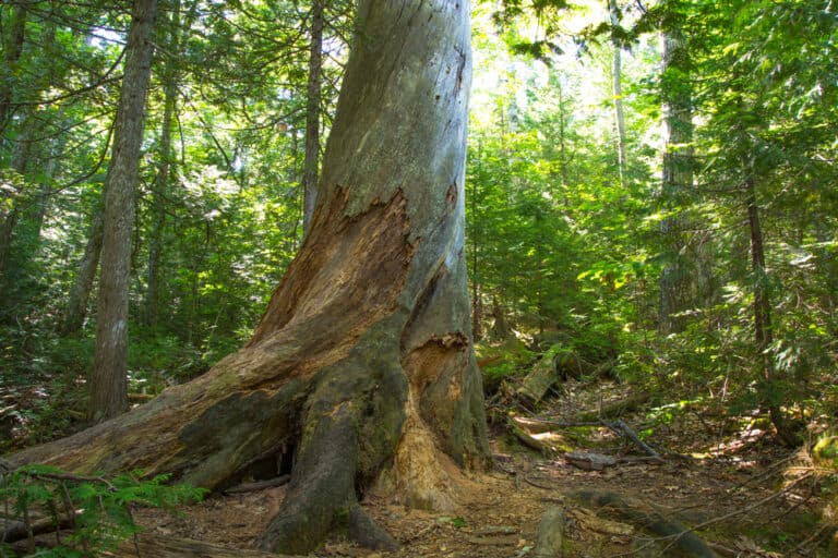 25 Most Beautiful Places to Visit in Michigan - The Crazy Tourist