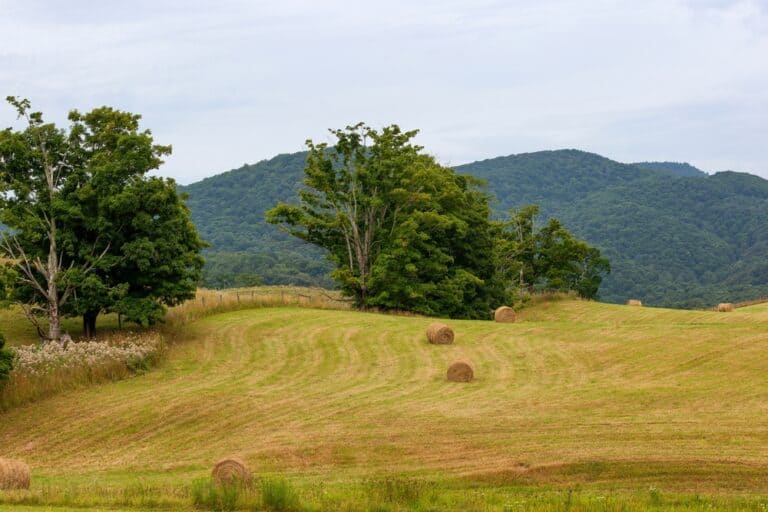 25 Most Beautiful Places to Visit in Virginia - The Crazy Tourist