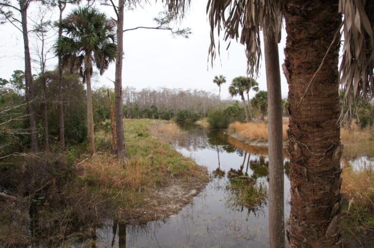 15 Things Best to Do in Jupiter (FL) - The Crazy Tourist