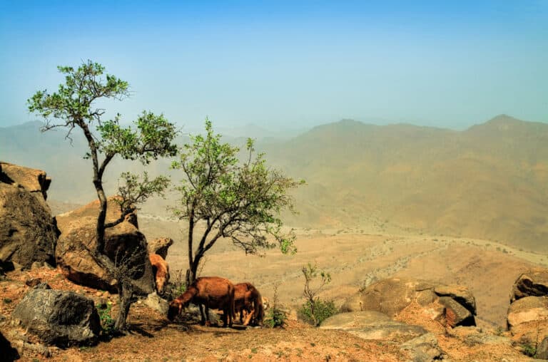 15 Best Places to Visit in Sudan - The Crazy Tourist